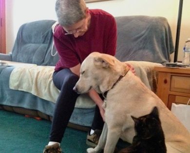 Distance Animal Energy Healing - Sky and the Animals